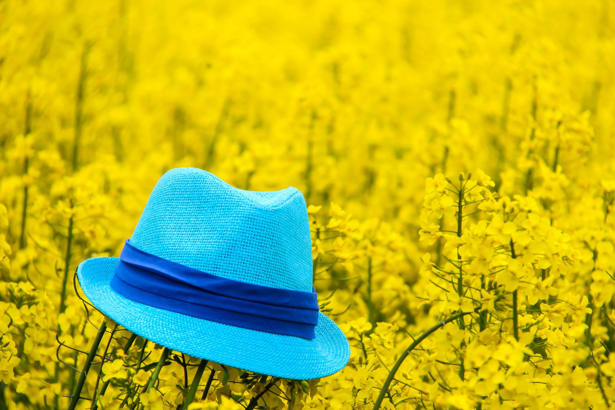 Spontaneous travel - 9 ways to enjoy an unplanned trip - 203Challenges