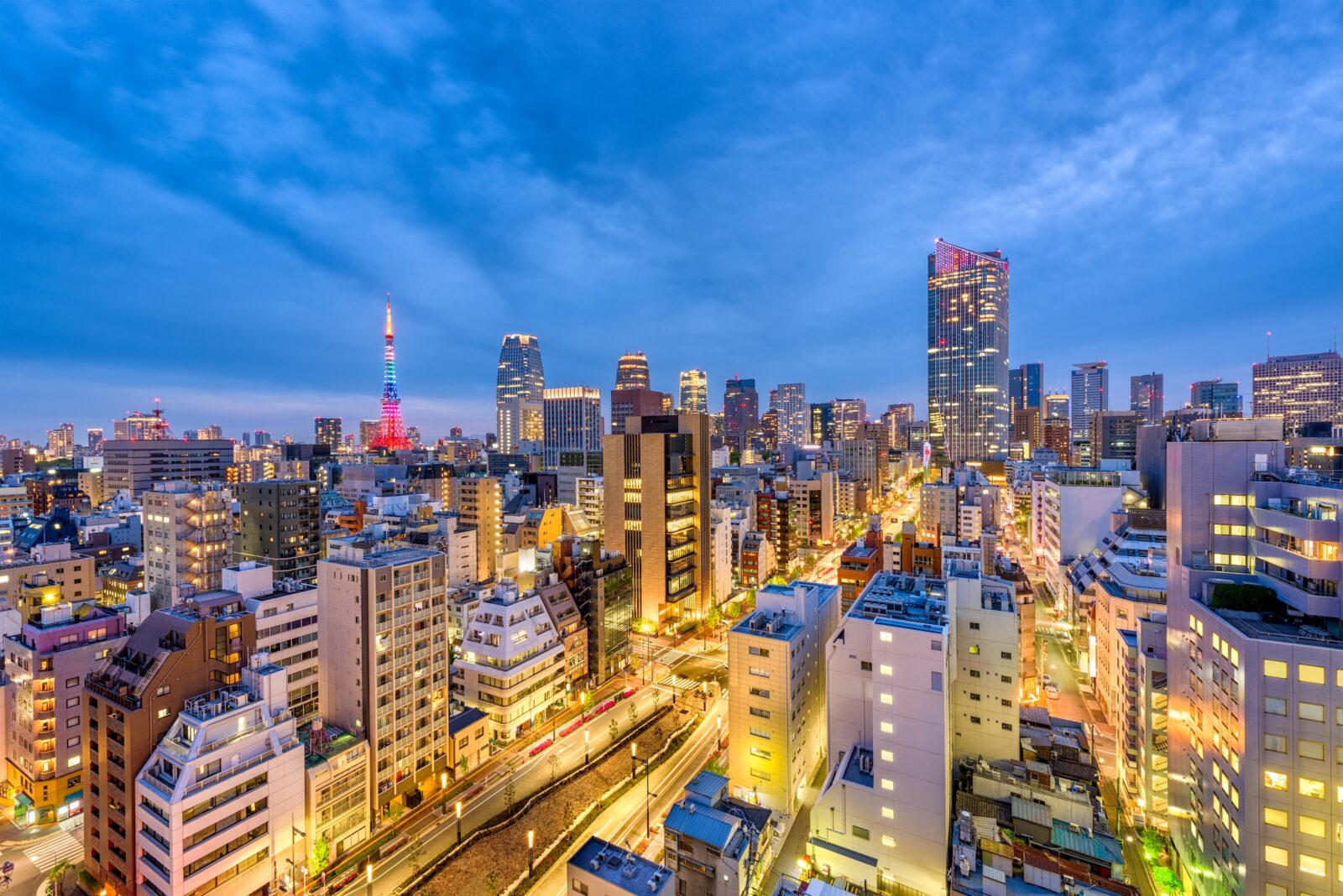 Exploring Tokyo's Traditional Neighborhoods - 203Challenges