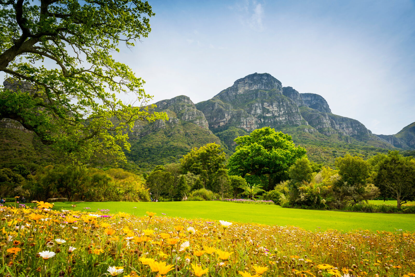 Visit Cape Town's Iconic Table Mountain for a Unique Experience ...