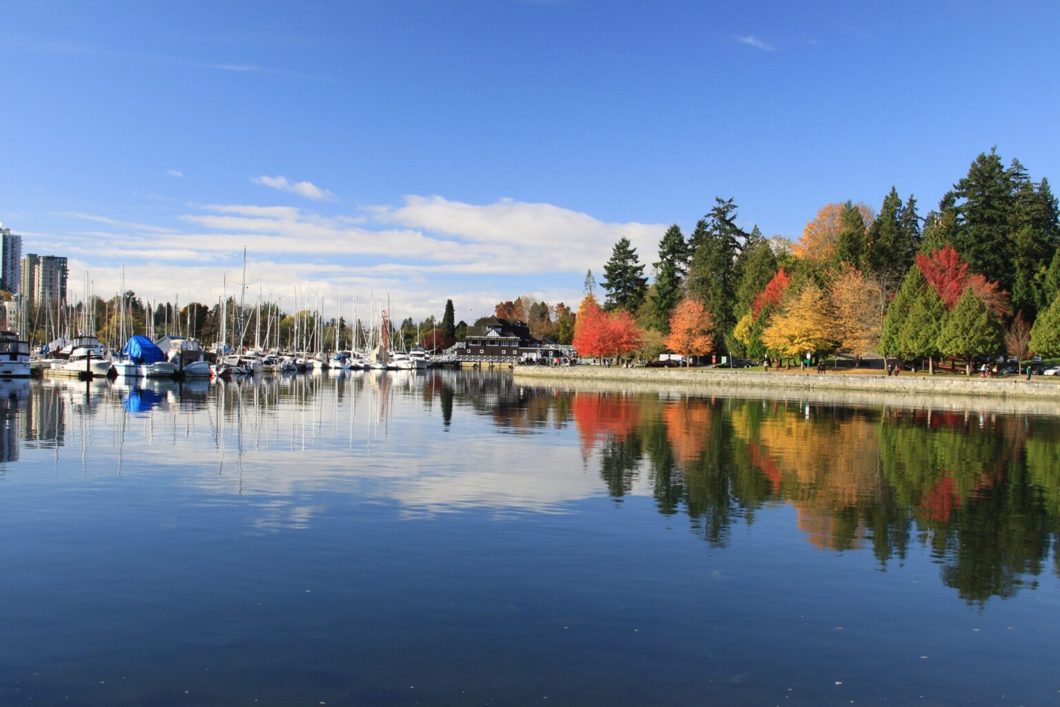 A Day in Vancouver's Stanley Park - 203Challenges